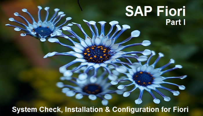Sap Fiori Tutorial Part I System Check Installation And