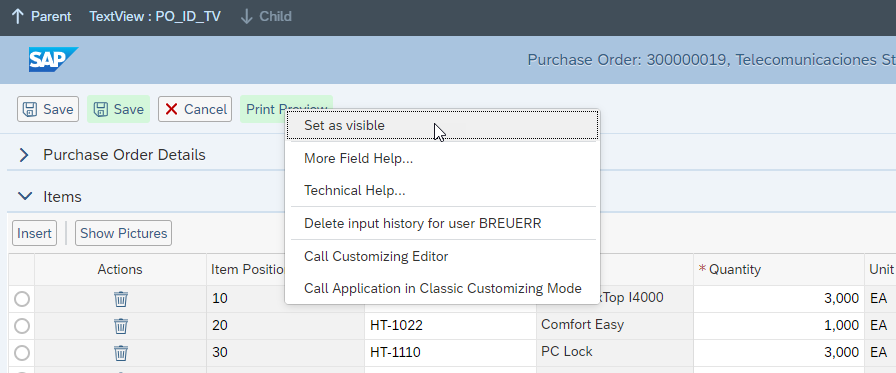 Web Dynpro Abap New Customizing Ui With Ui Guideline Fiori Erp Qanda