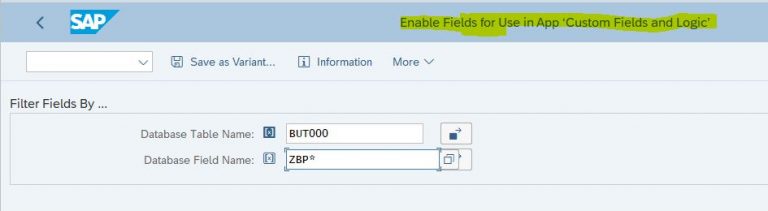 F4 Help for custom fields created using Custom Fields & Logic – InApp Extensibility - ERP Q&A