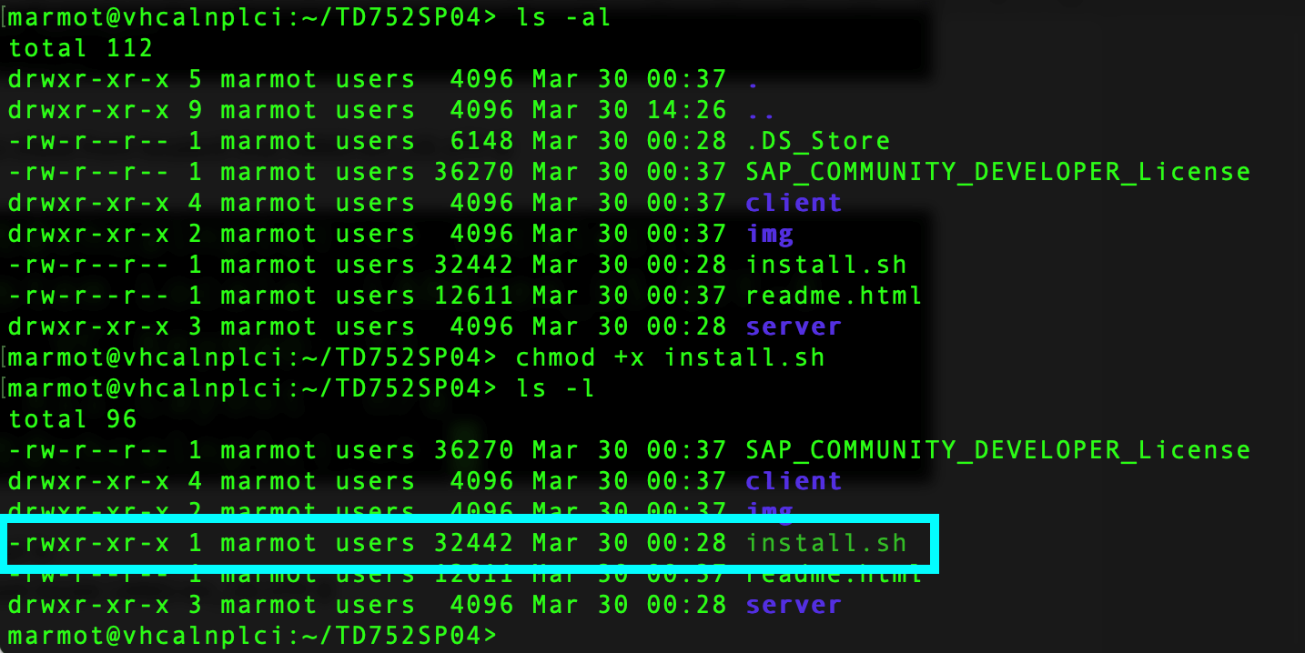 QEMU and SAP Dev Edition via UTM for MacBook M1