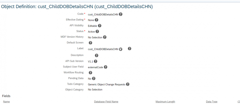 Child Care Leave China Workaround in SuccessFactors - ERP Q&A