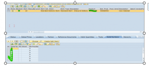 Configuration of Serial Number Management in SAP EWM - ERP Q&A