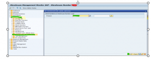 Configuration of Serial Number Management in SAP EWM