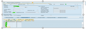 Configuration of Serial Number Management in SAP EWM