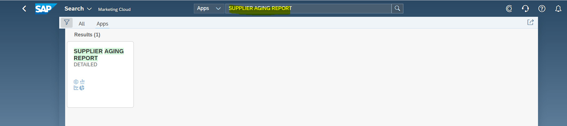 Efficient Line Item Aging Reports In S 4hana Cloud