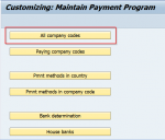 Central Payment through APP (Automatic Payment Program) - ERP Q&A