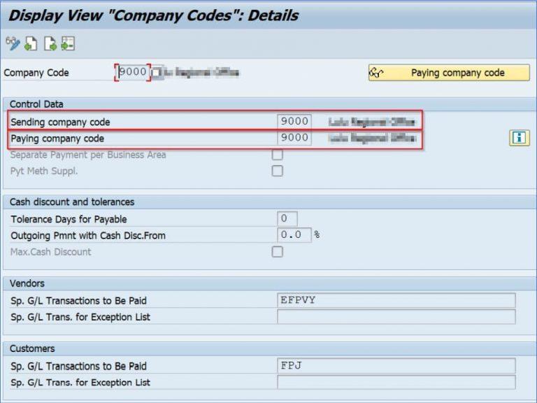 Central Payment through APP (Automatic Payment Program) - ERP Q&A