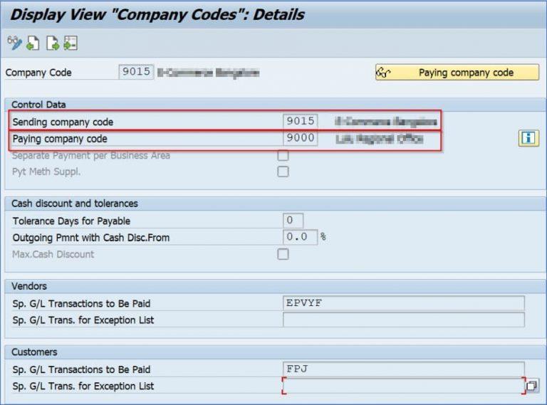 Central Payment through APP (Automatic Payment Program) - ERP Q&A