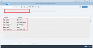 Automatic Payment Blocking When Changing The Bank Details Of The ...