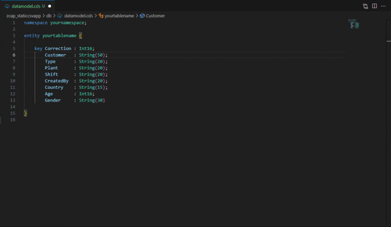 Developing a CAP Application in VSCode using CSV data - ERP Q&A