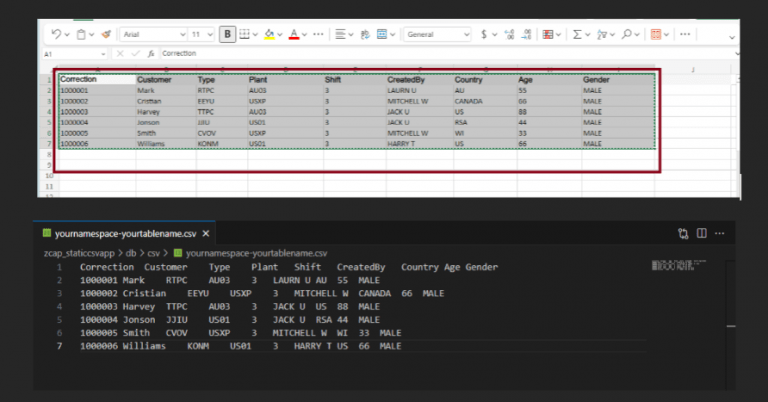 Developing a CAP Application in VSCode using CSV data - ERP Q&A
