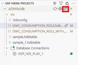 SAP Datasphere – Enable SAP HANA Development Infrastructure (HDI) - ERP Q&A
