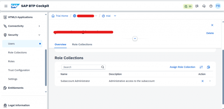 SAP HANA Database Creation from SAP BTP