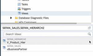 Create a SQL user with access to multiple spaces in SAP Datasphere - ERP Q&A