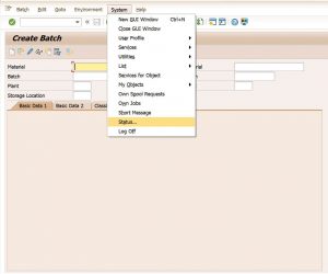 How to find Customer/User Exists in SAP ABAP? Exit for Batch Management - ERP Q&A